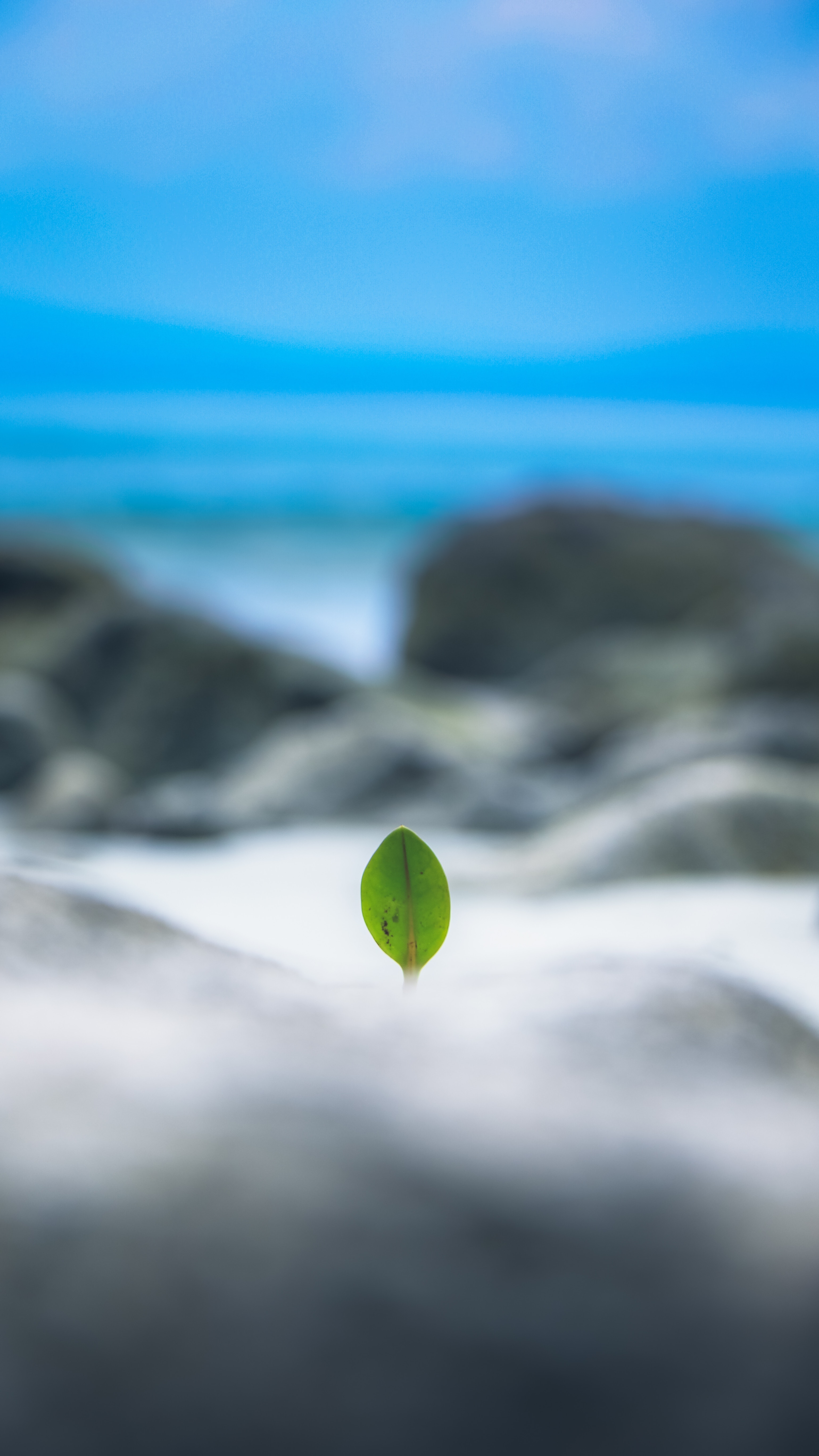 Seeing Hope - Alan Roxburgh